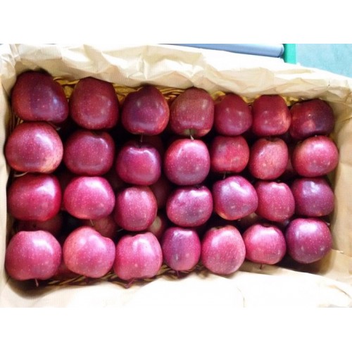 Appleapple,red apple, big apple, fruit, red fruit, red apple, sweet ...